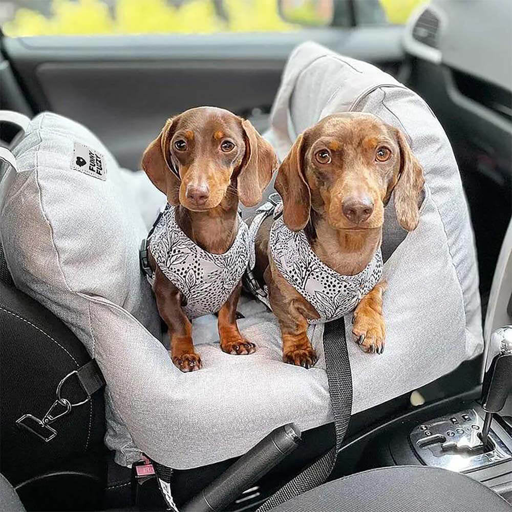 Small Dog Car Seat